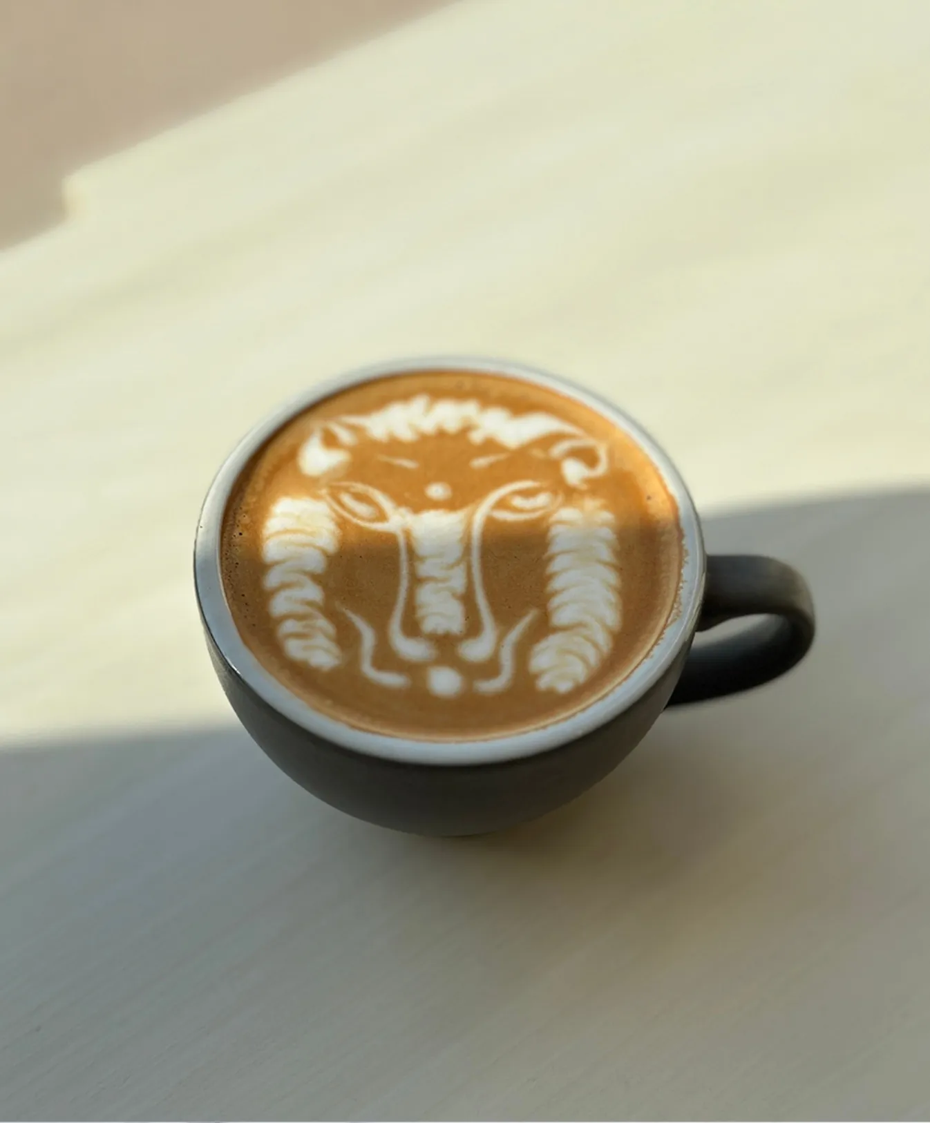 Advanced Latte Art - Orasì Barista